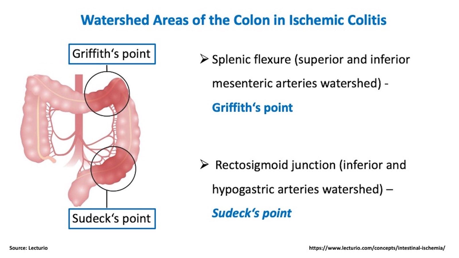 Endoscopic Spectrum of “Left”-Sided Ischemic Colitis
