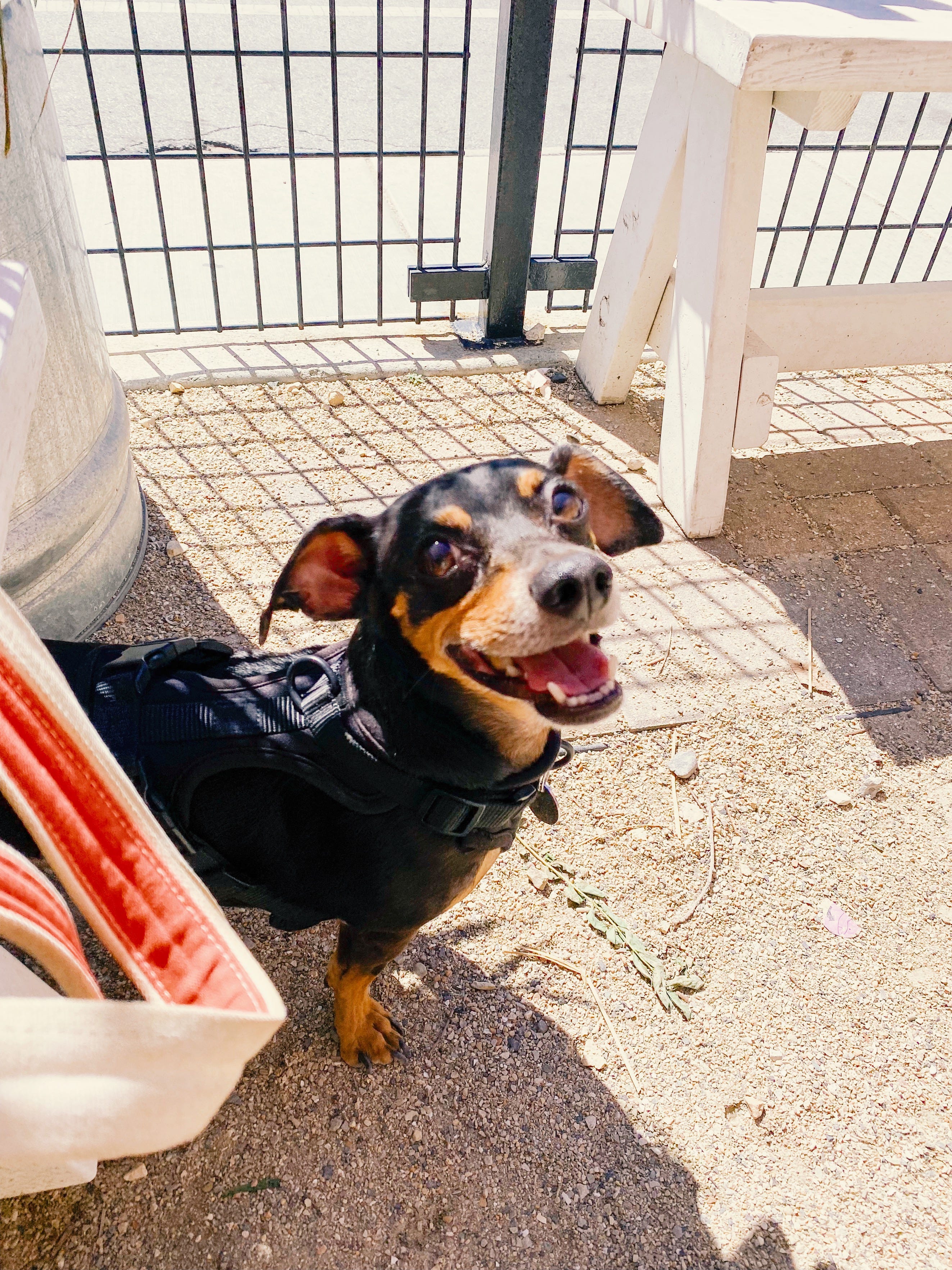 Fancam Hours - by kelsey farrell - kelsey's corner