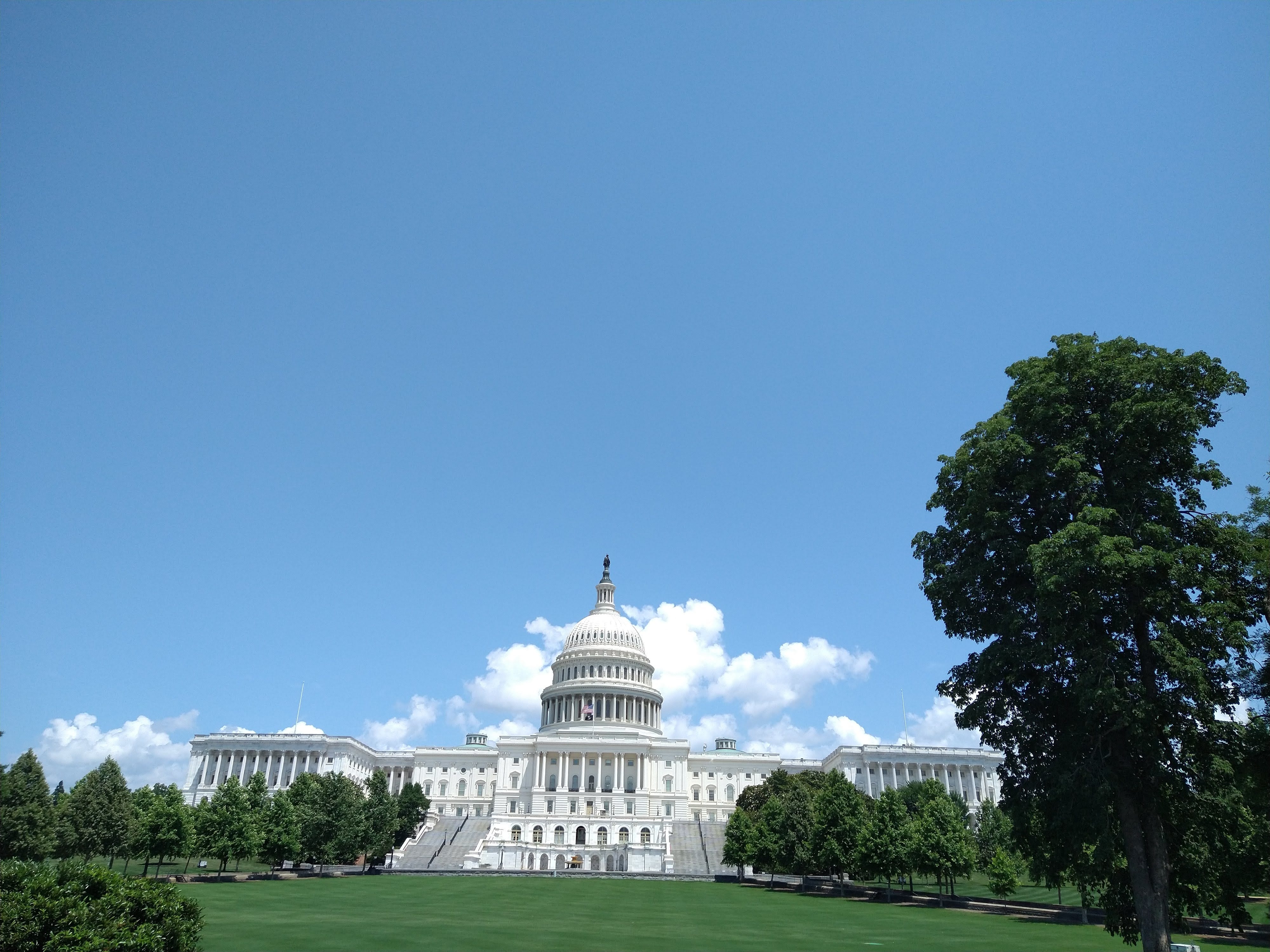 Mon-daze - by Brian Oney - Meditations On Meliorism