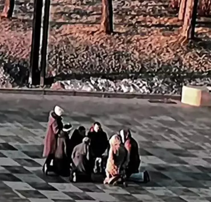 Diane Francis | Substack