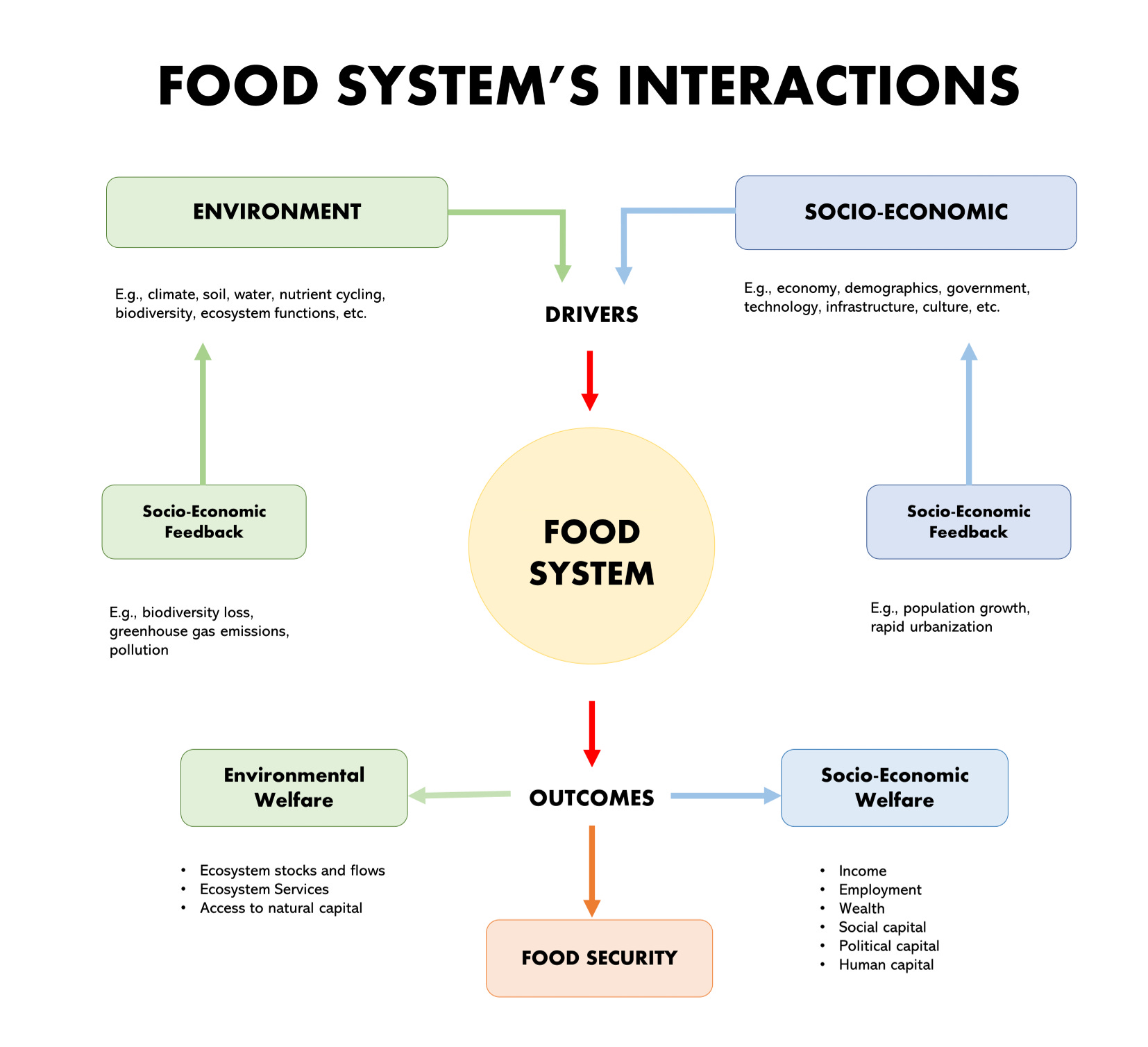 WHAT IS THE FOOD SYSTEM? - by Sofía Cristóbal Reyes