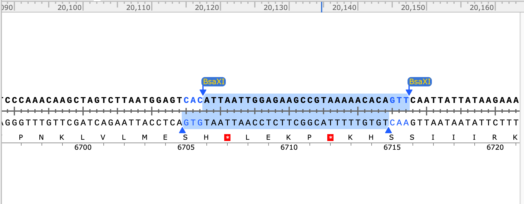A deep dive on TypeIIs Restriction enzymes - by Anandamide