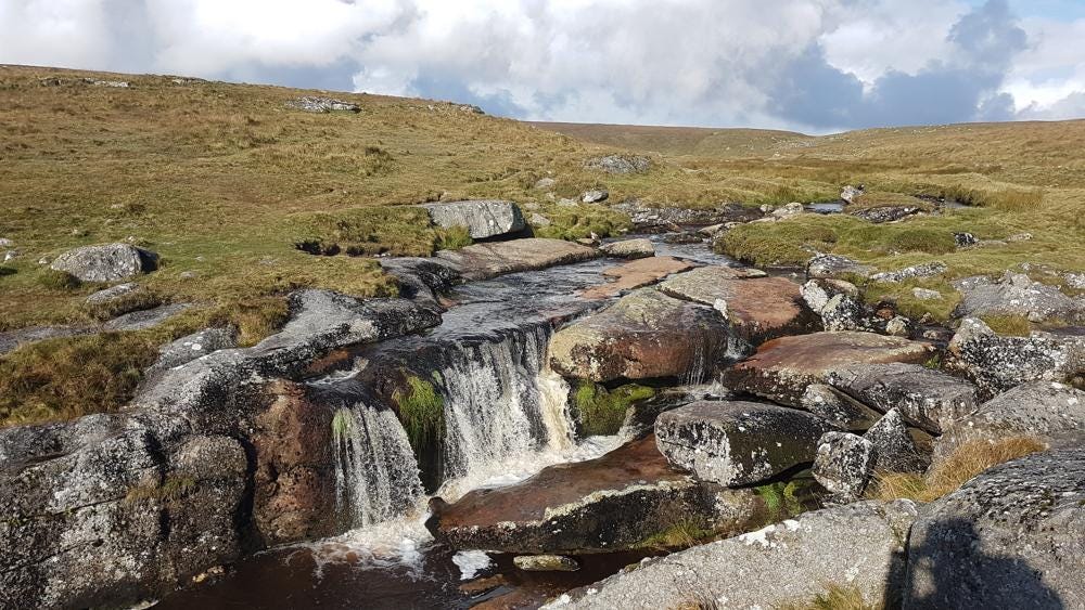 This Means Moor - The David Charles Newsletter