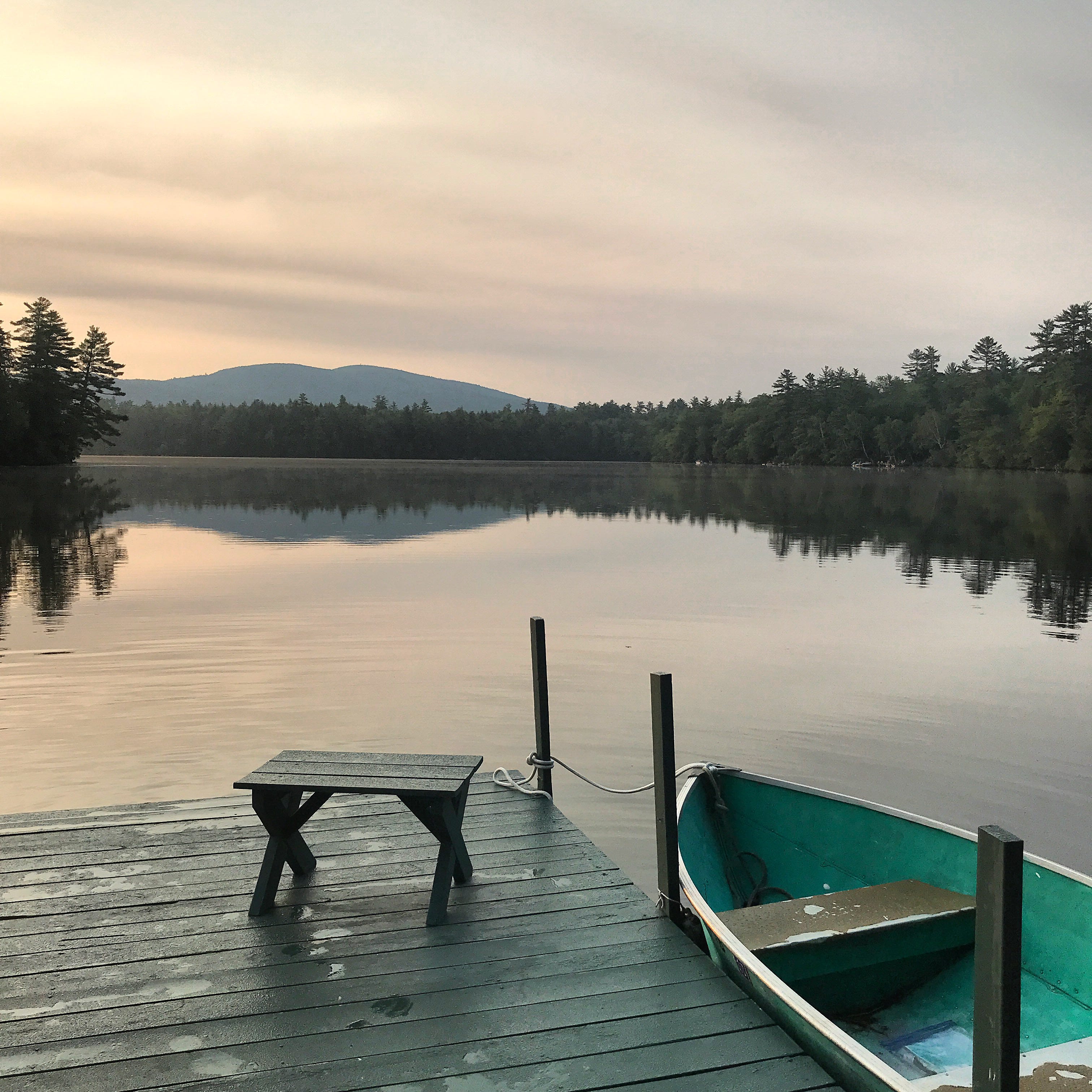 The good news edition - by Jane Roper - Jane’s Calamity