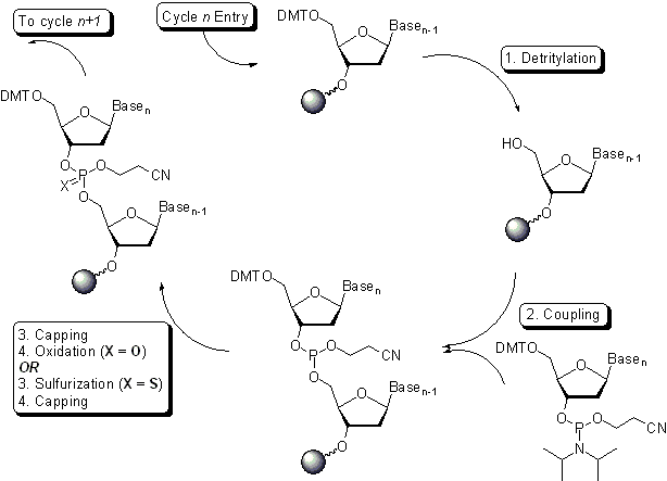 What's different? Part two: Synthesis - by Elliot Hershberg