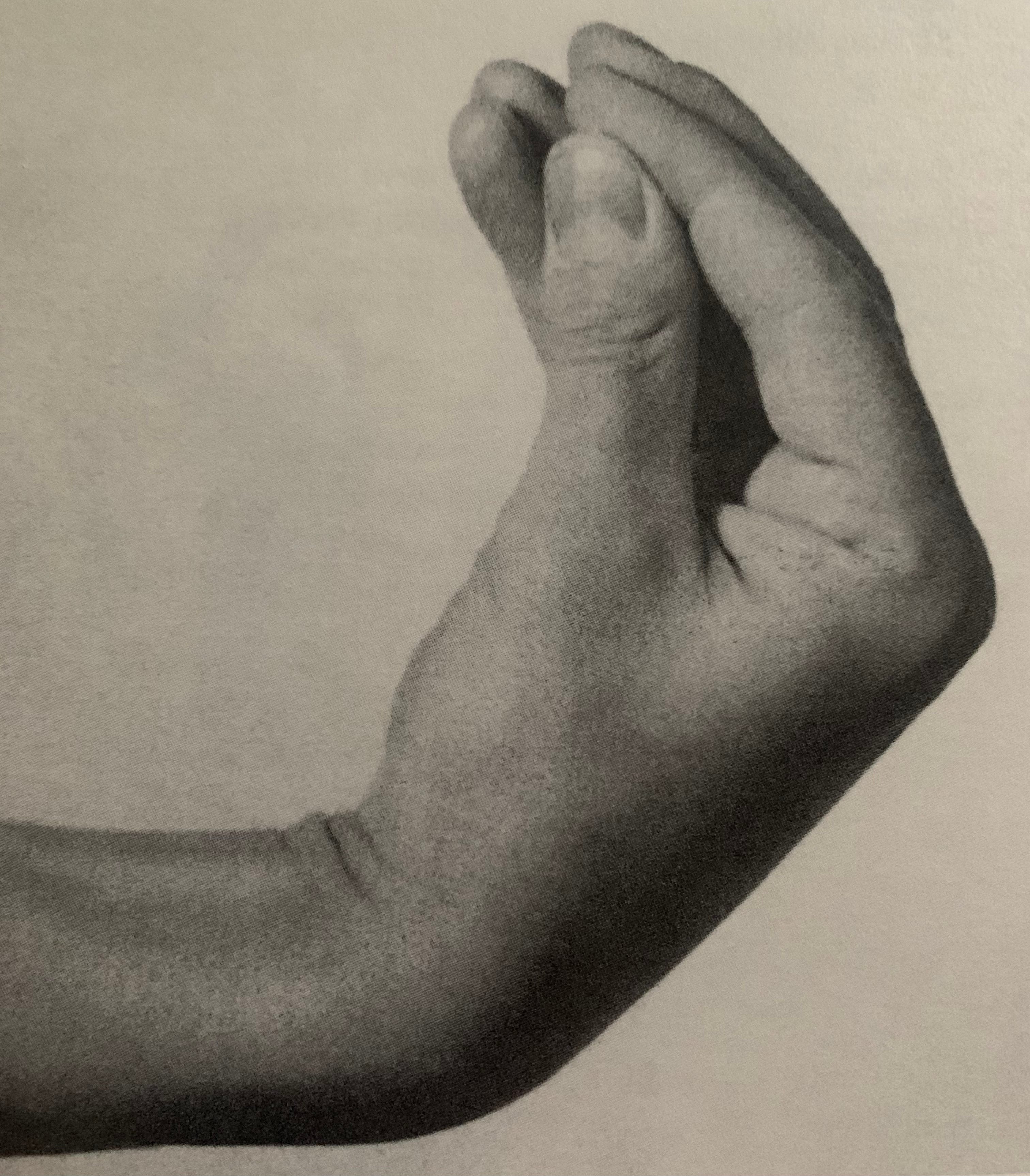 Speak Italian The Fine Art Of The Gesture