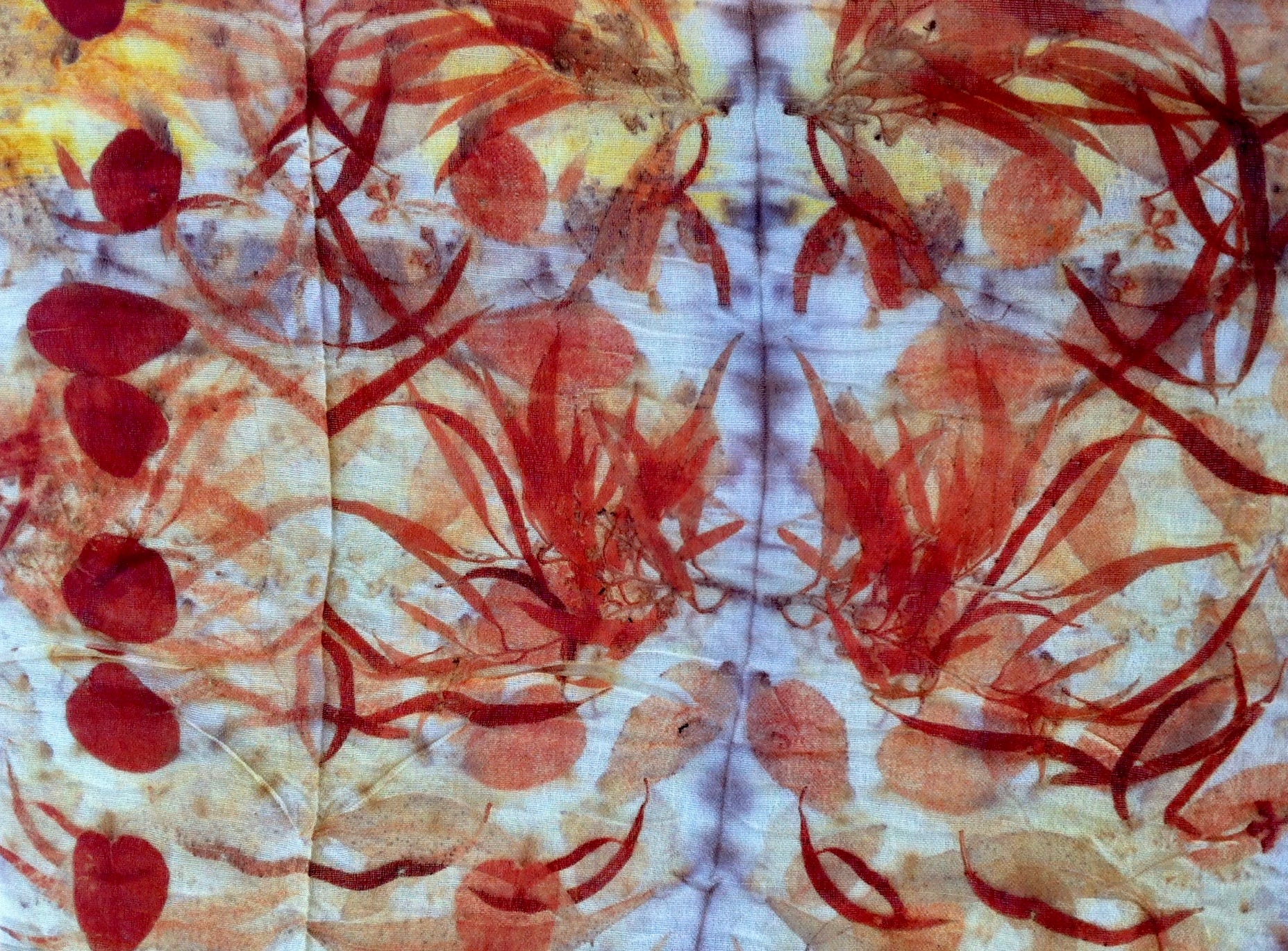 ecoprinting - by India Flint