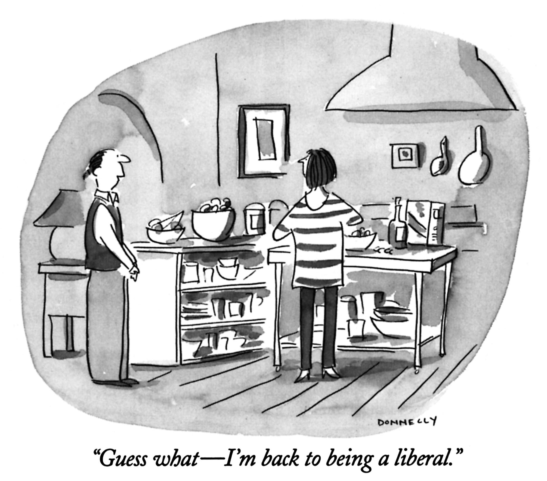 Political Labels - by Liza Donnelly - Seeing Things