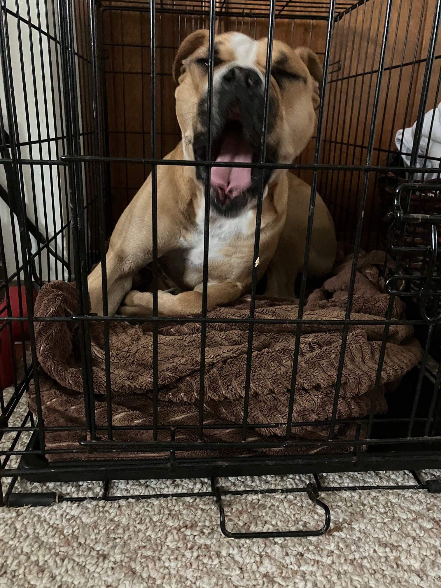 Henry’s Blog | Henry Aure | Substack