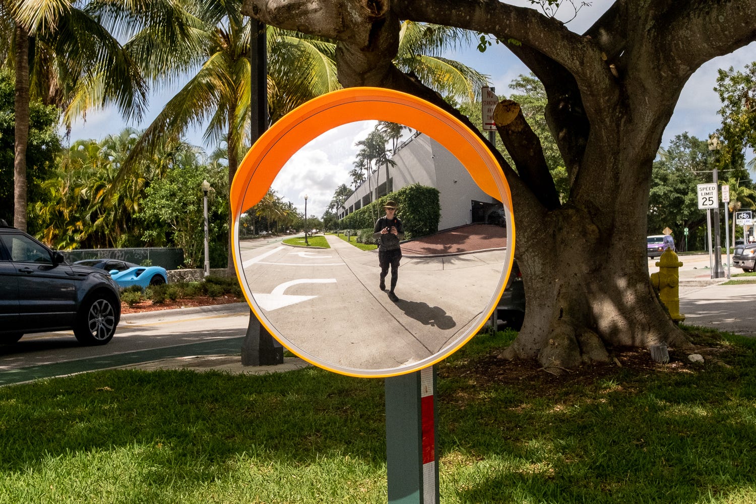 Pedestrian 28: Land of Cockaigne - by Alex Wolfe