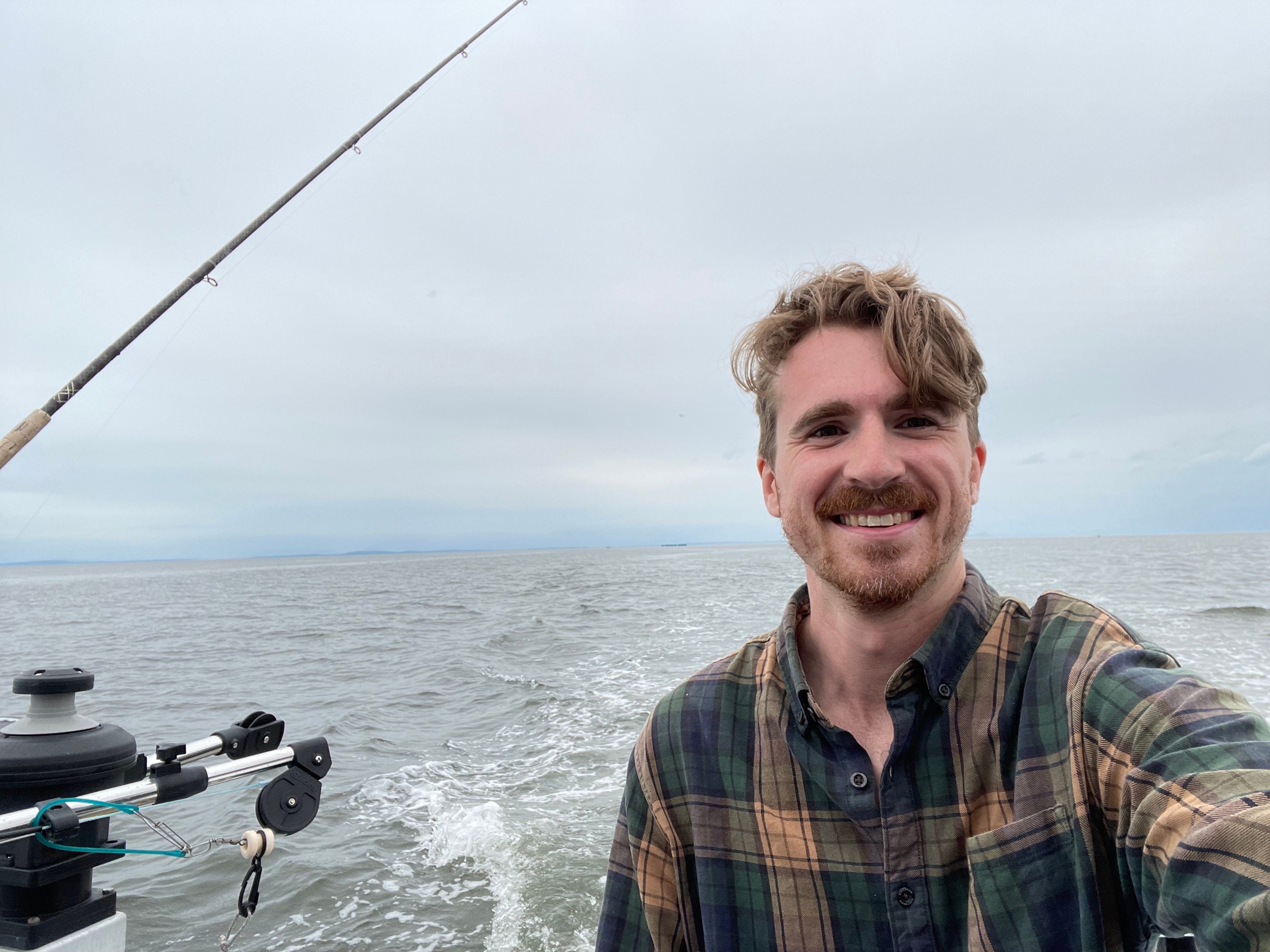 David King | Substack