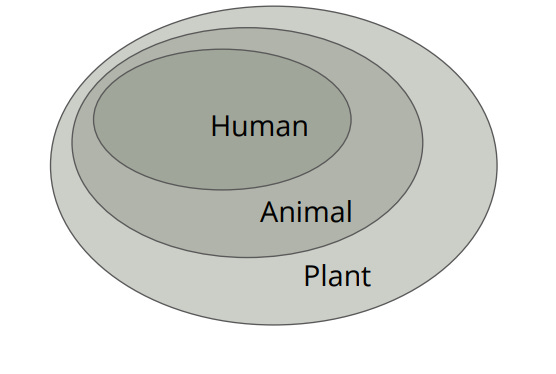 Hierarchies of intelligence - Kathy’s Newsletter