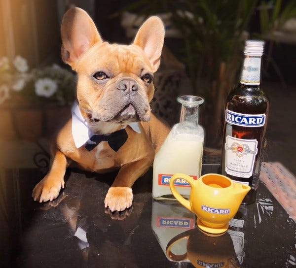 Stop giving your dog liquor - by Shamontiel L. Vaughn