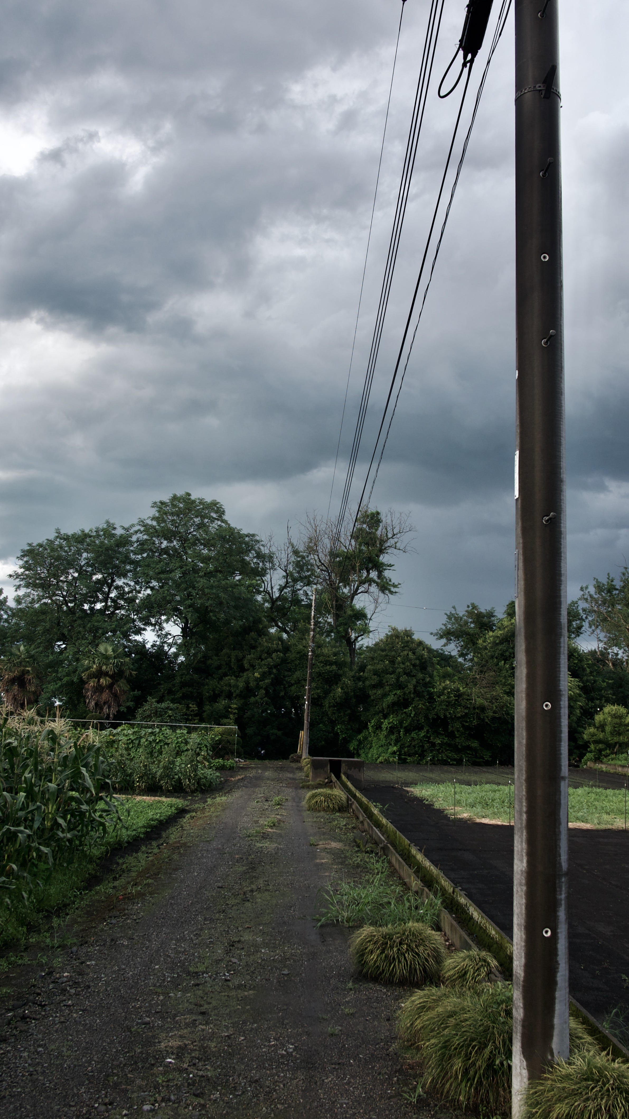 Storms - by Joel Neff - 91 Days
