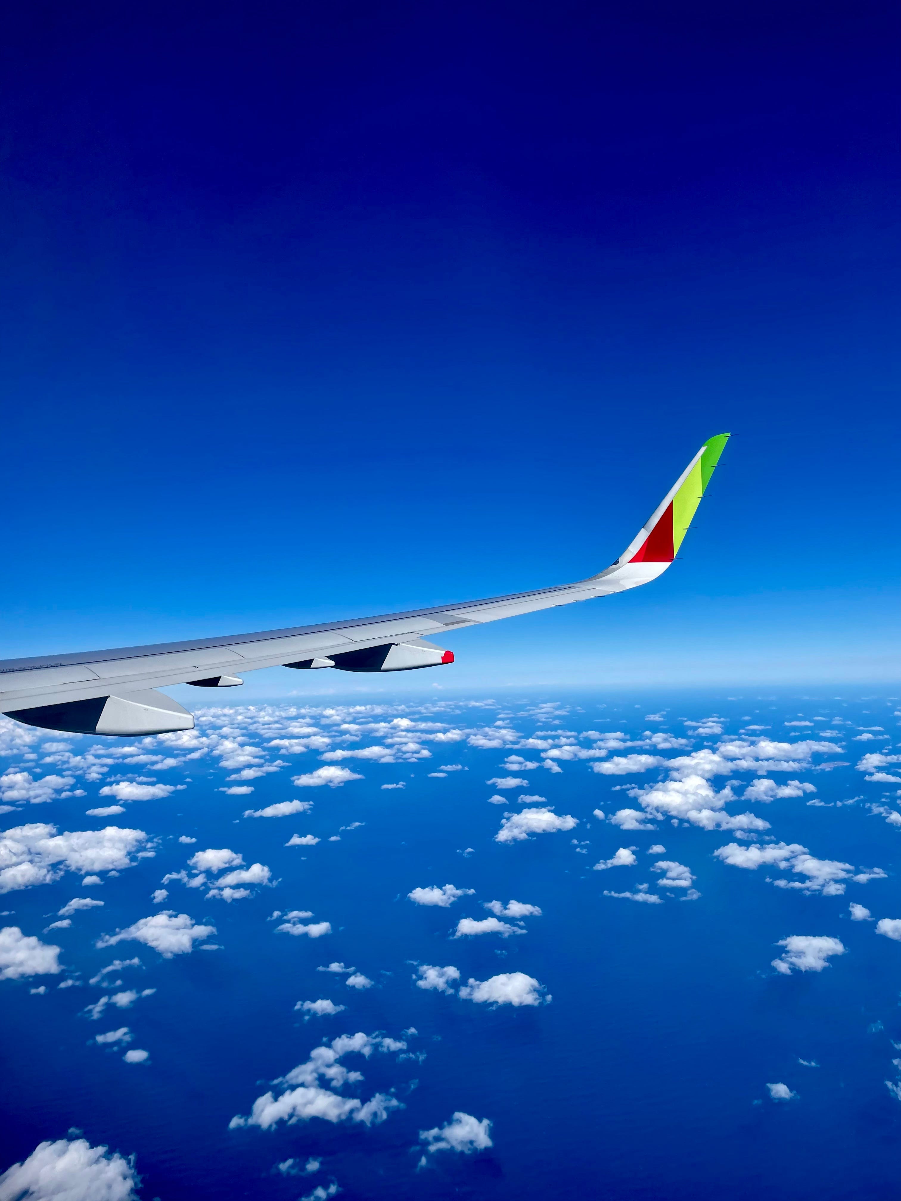 Notes From Seat 28F - life: examined