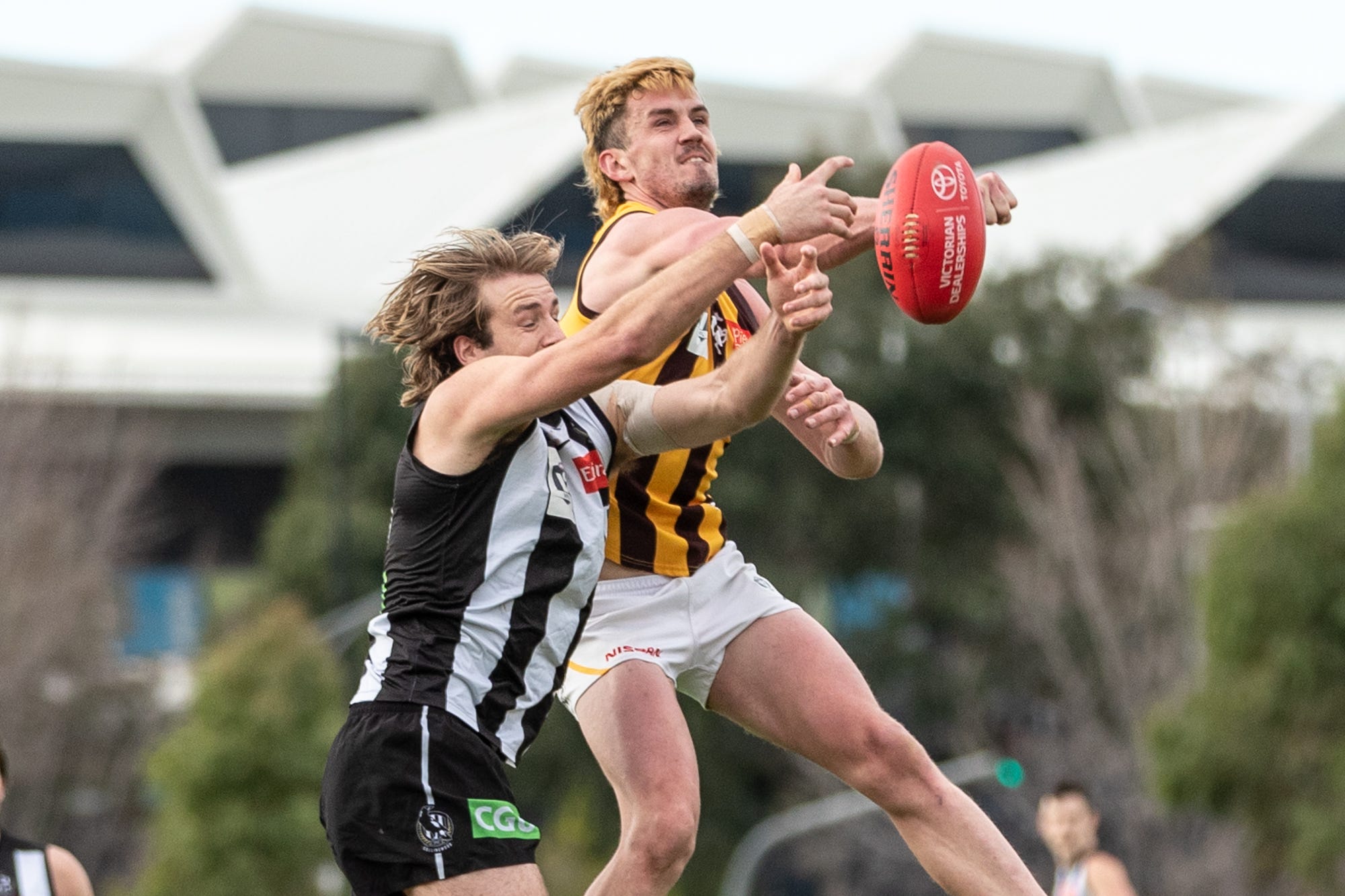 Why Harts is excited about Hawthorn's future