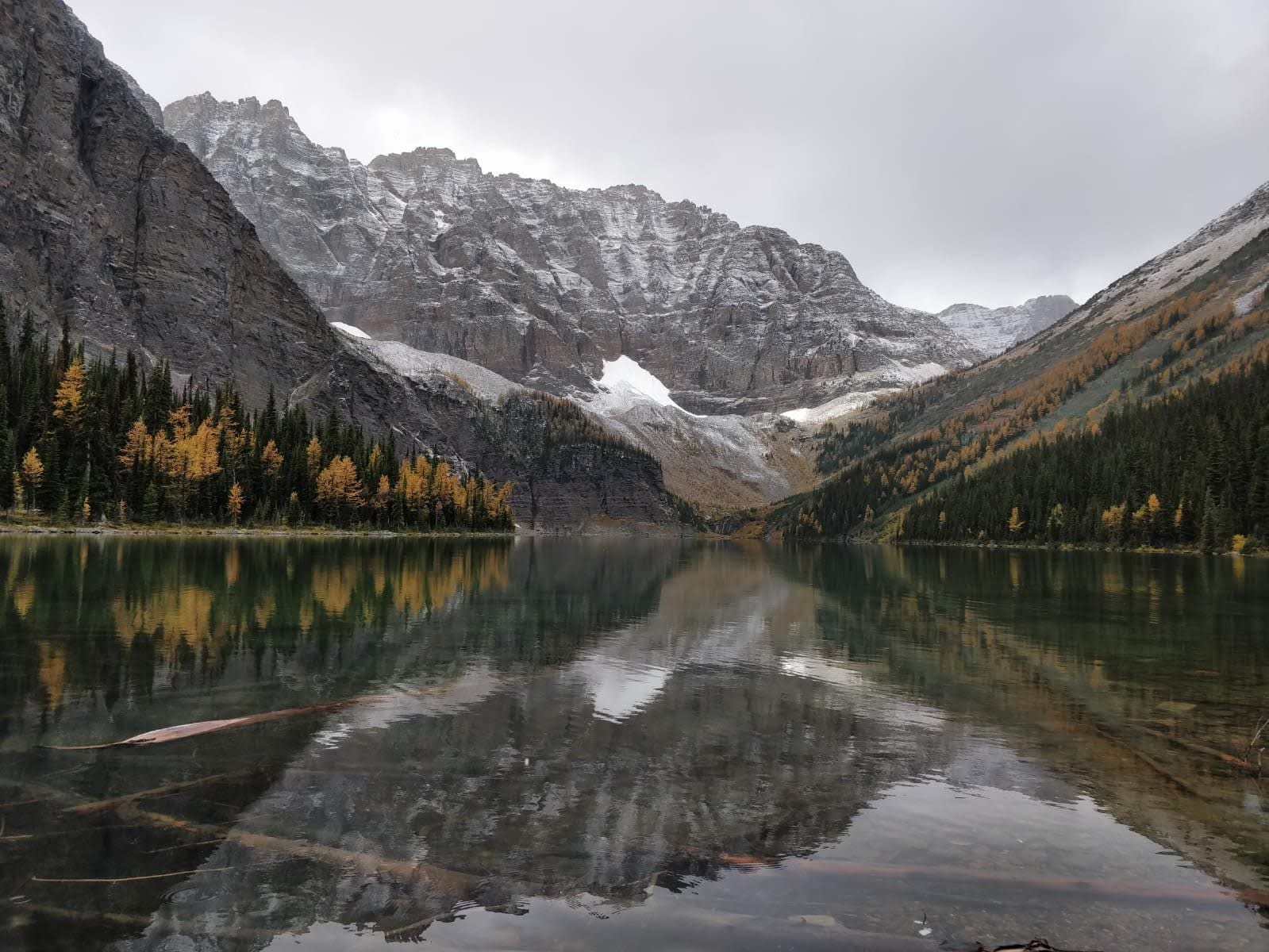 It's (Almost) Time for a Larch March!