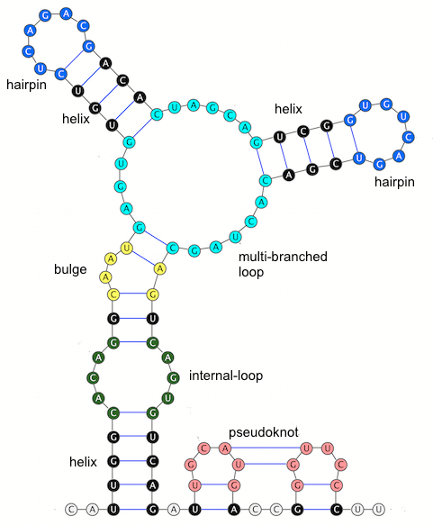 mRNA Folding Mechanisms and Approaches at the Secondary Structure Level