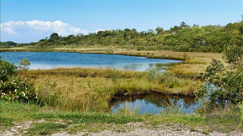 A Comprehensive History of Corbin Park - August Longpré