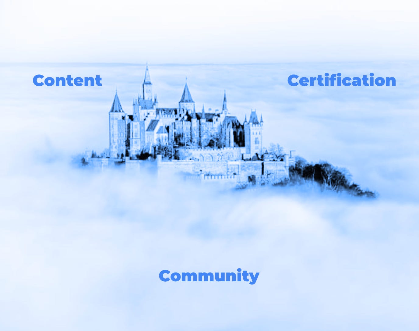 The 3 Cs of building a moat in SaaS - by Anneliese Niebauer