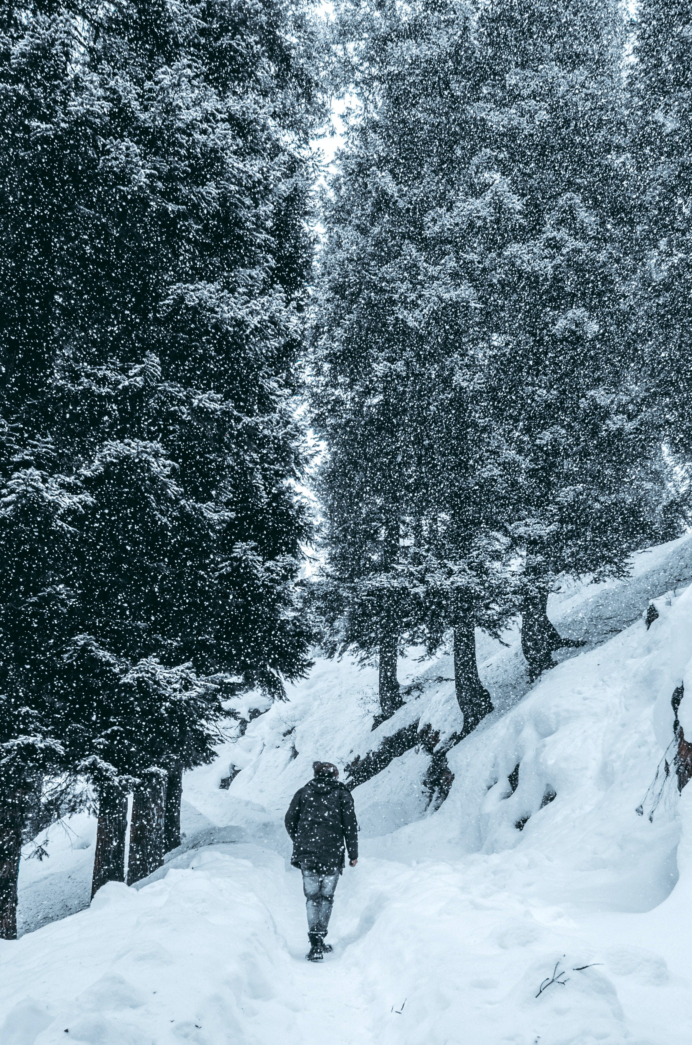 Snow, Chai and a Crackling Bonfire: Places to Experience a White Winter ...