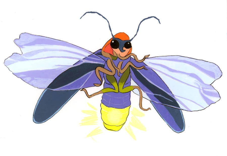Wild Life / big dipper firefly - by Amy Jean Porter