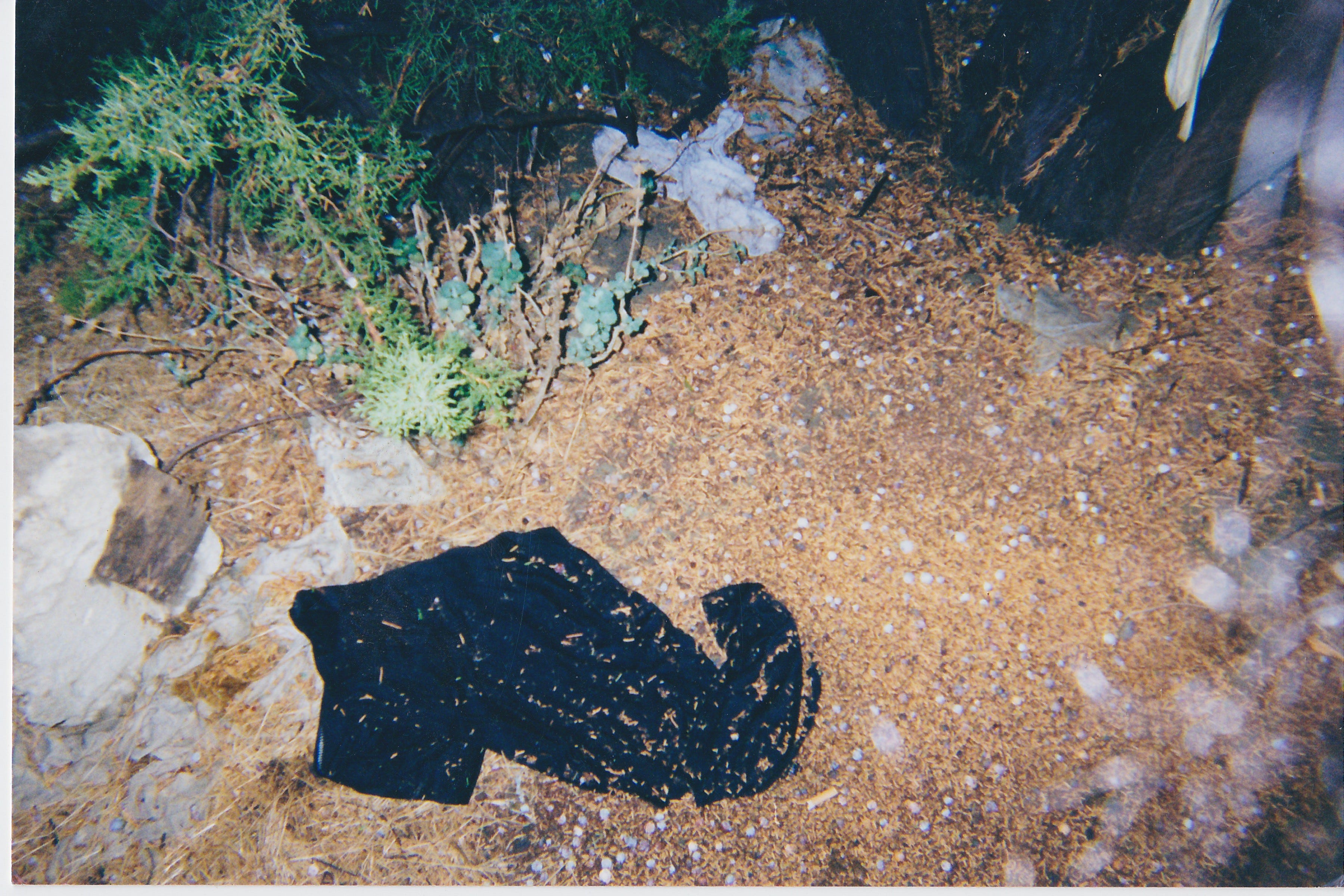 I Found Some of the Photographs - by Athena Walker