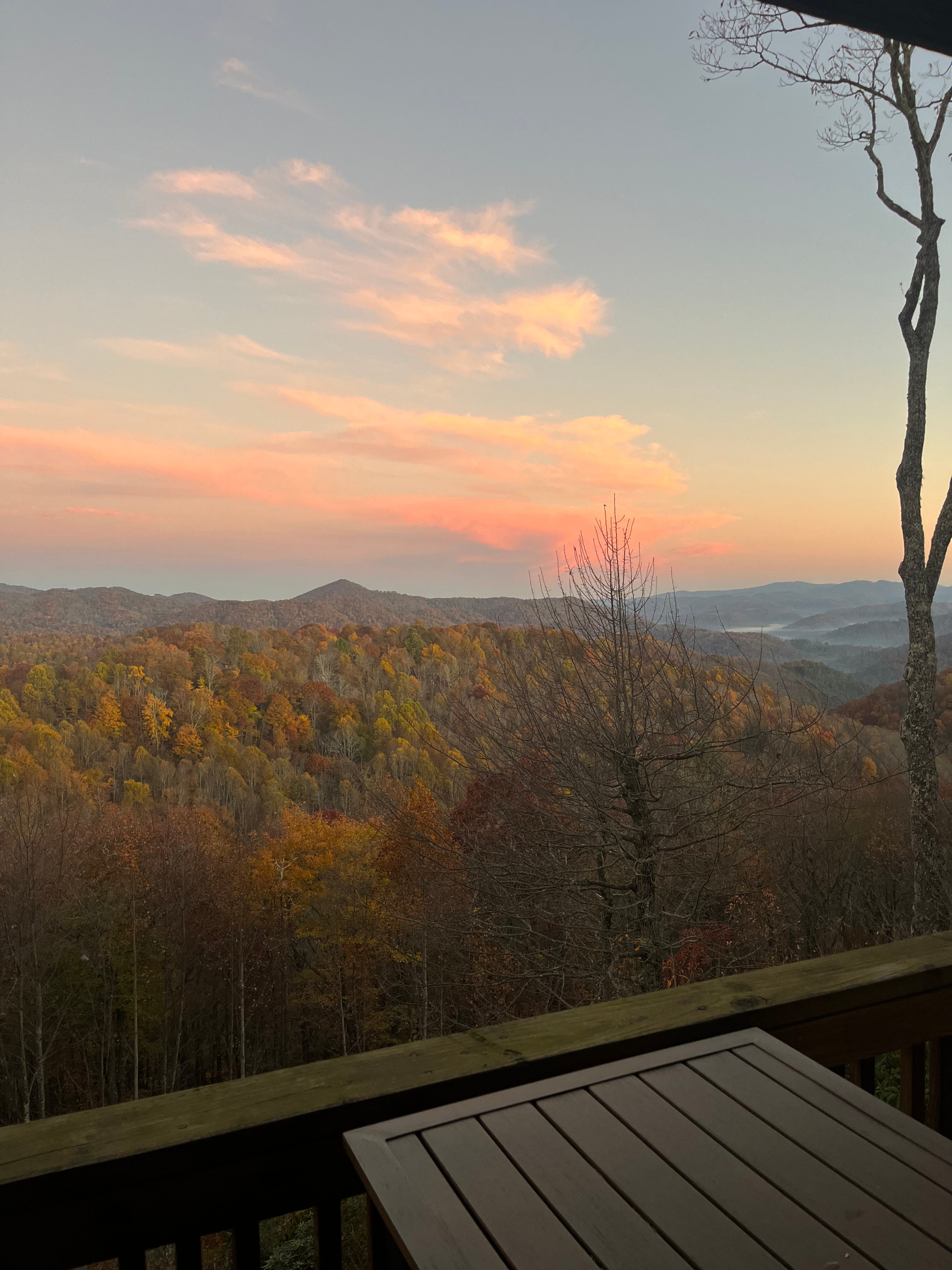 Charlotte, Dopamine, and This - by Kayleigh Ruller