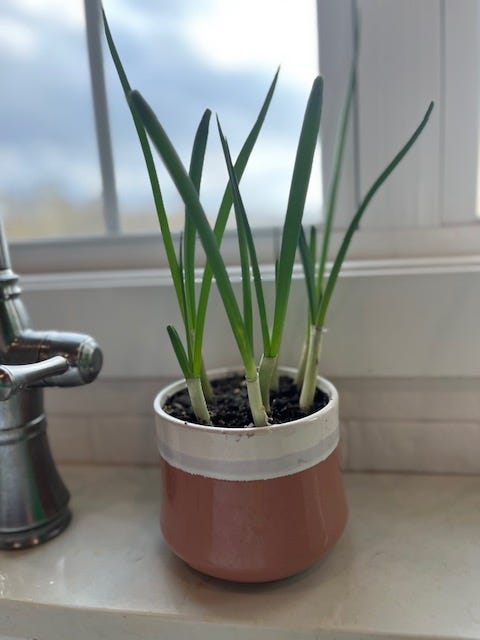 Welcome Home by Renee Mathis - by Renee Mathis