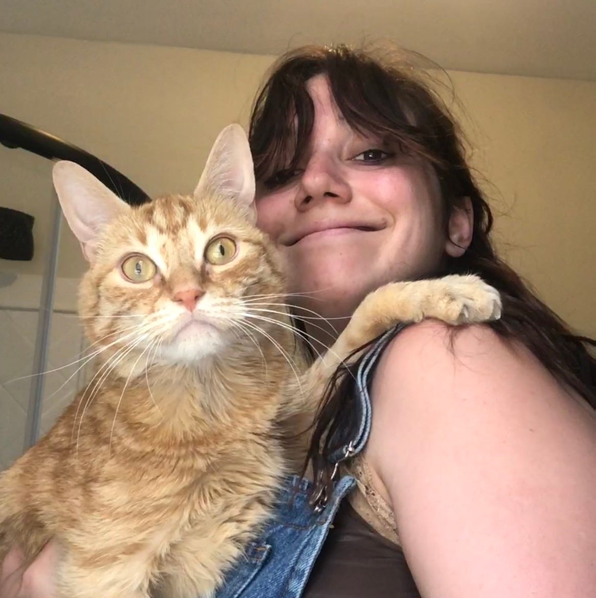 karlie flood | Substack