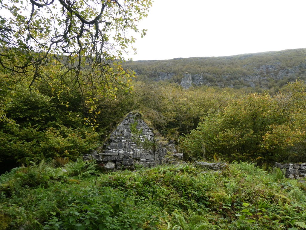 The View from the Cave - by Paul Kingsnorth