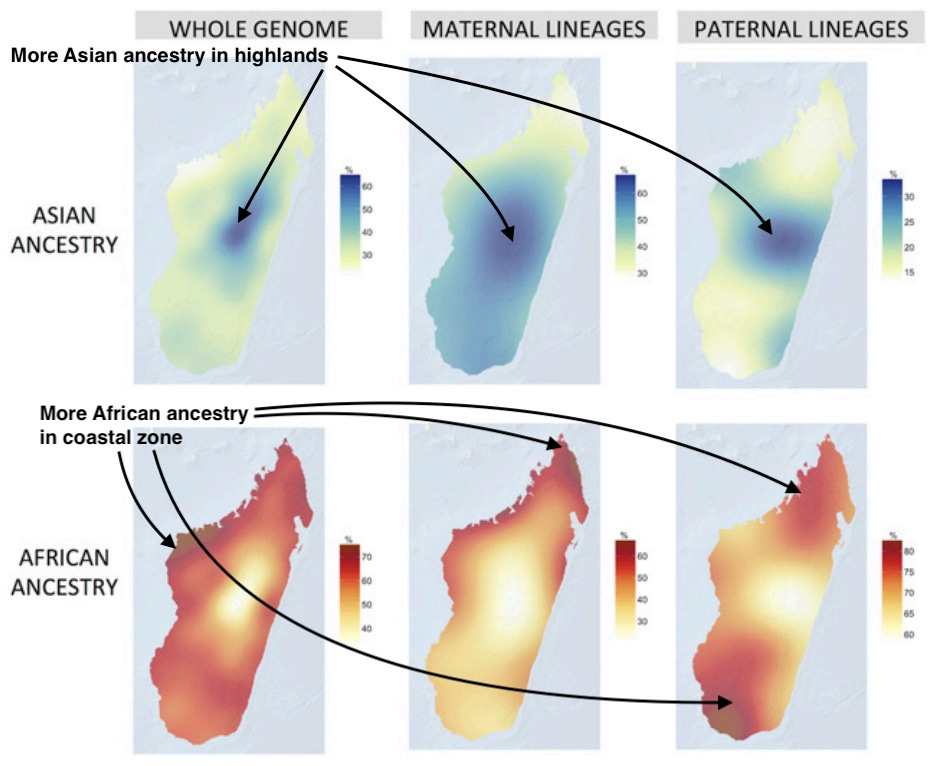 You can't make this up: Madagascar, how our planet's strangest island ...