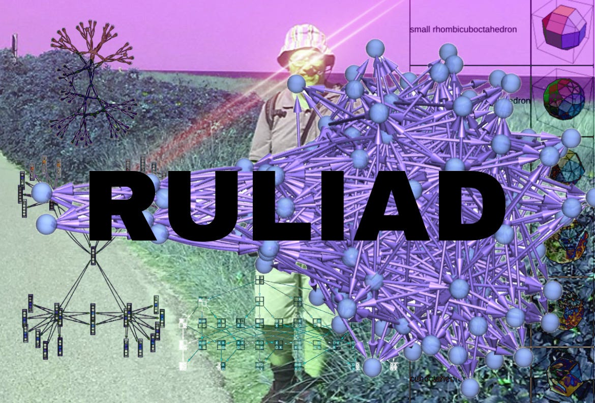 Halting Problems and Emma Machines - by emma salinas