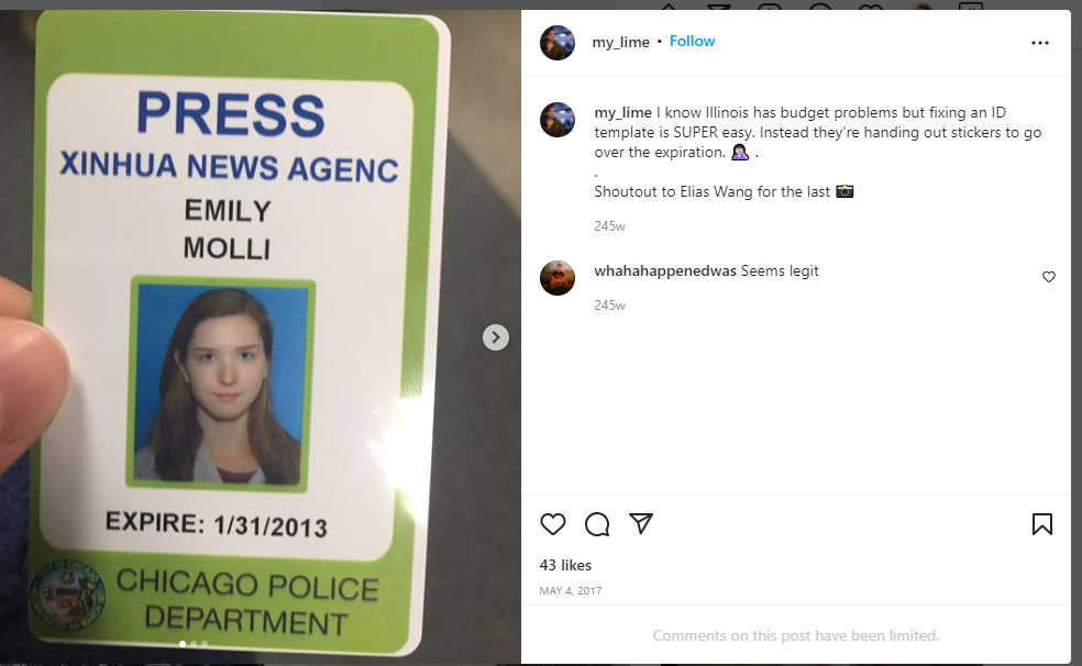 The Knowpes: Rocco Castoro, Emily Molli and Rob Waldeck