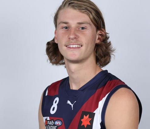 A Hawk centred Mid-Season Draft Preview - by Daniel Prins