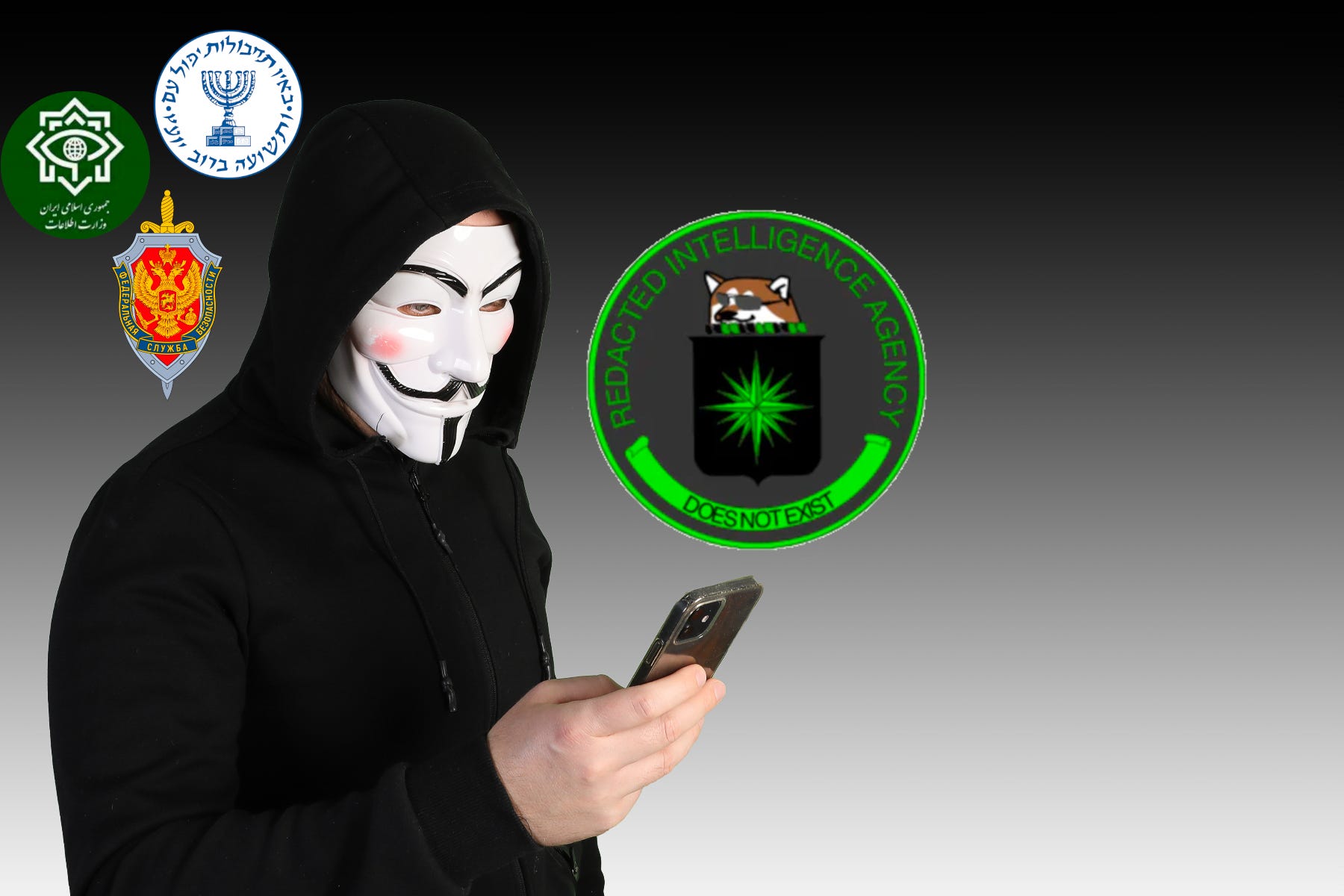 How Cyber-Anarchists Became Government Assets