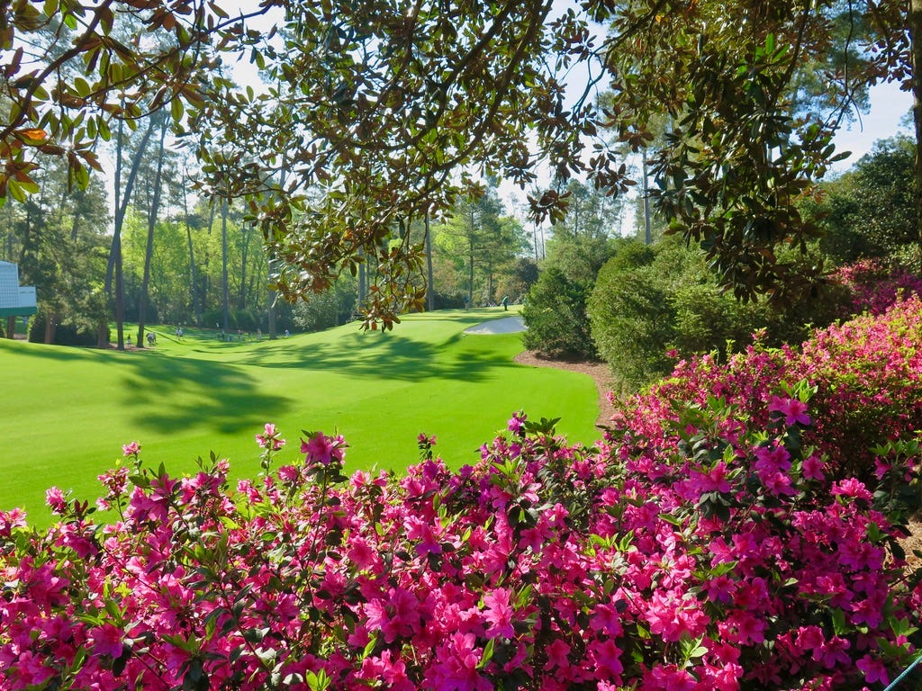 April 3rd Masters Notes: ANWA Conclusion And Our First Look Inside The ...