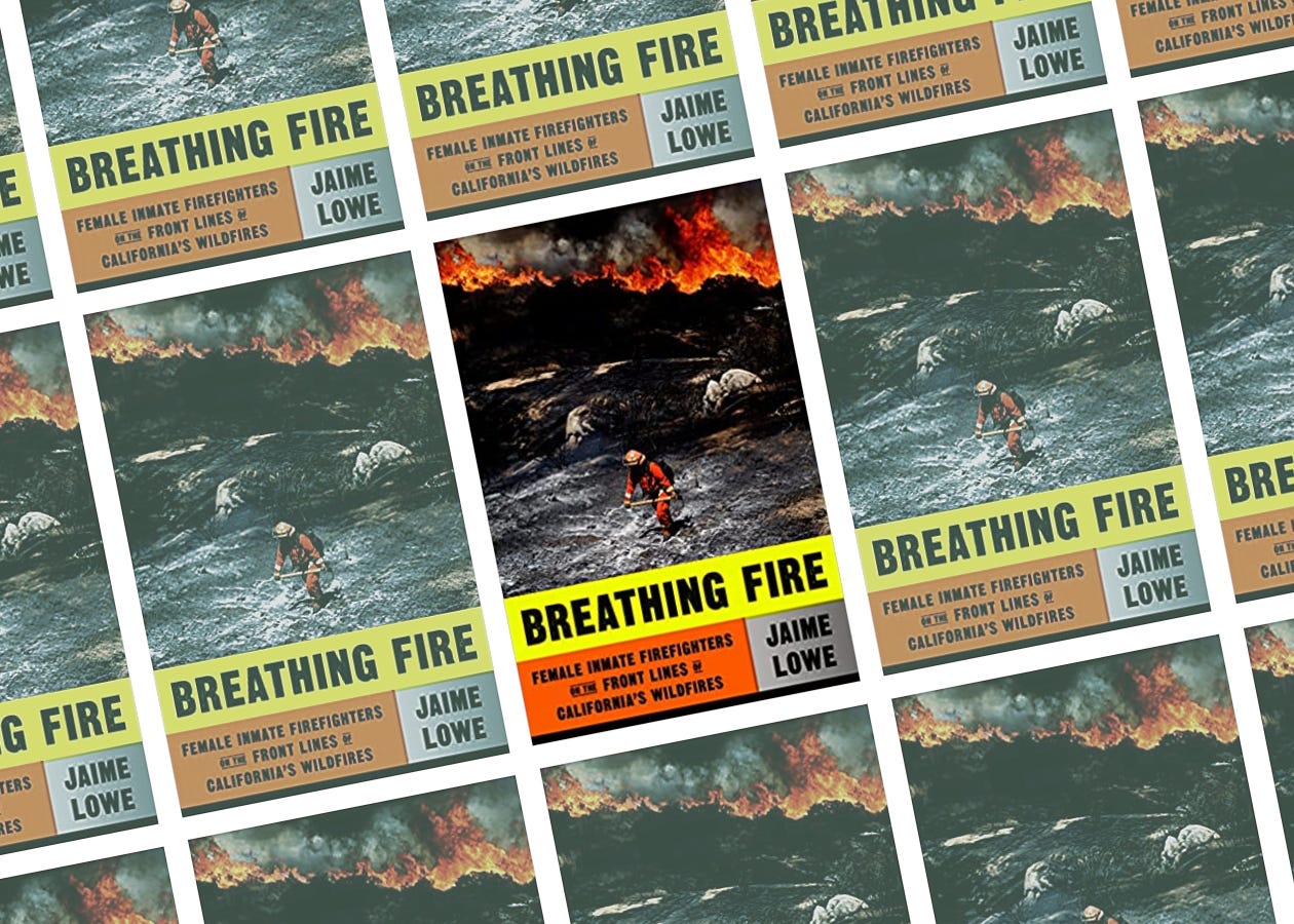 Book #13: Breathing Fire - by Jess Schreibstein