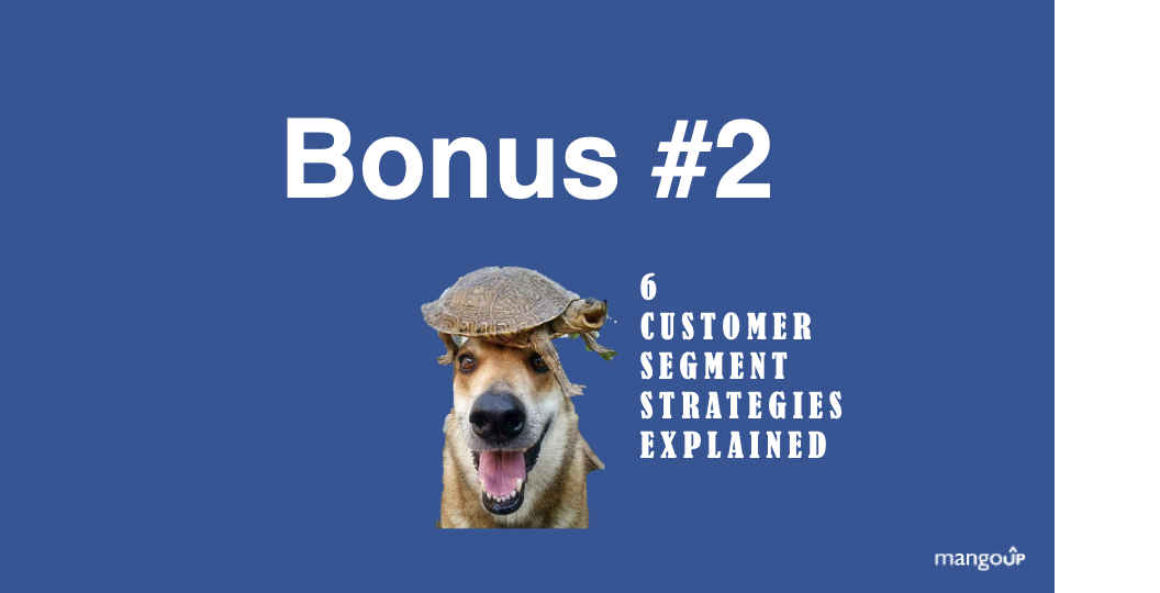 Bonus 🏋️‍♀️ 6 Customer Segment Strategies