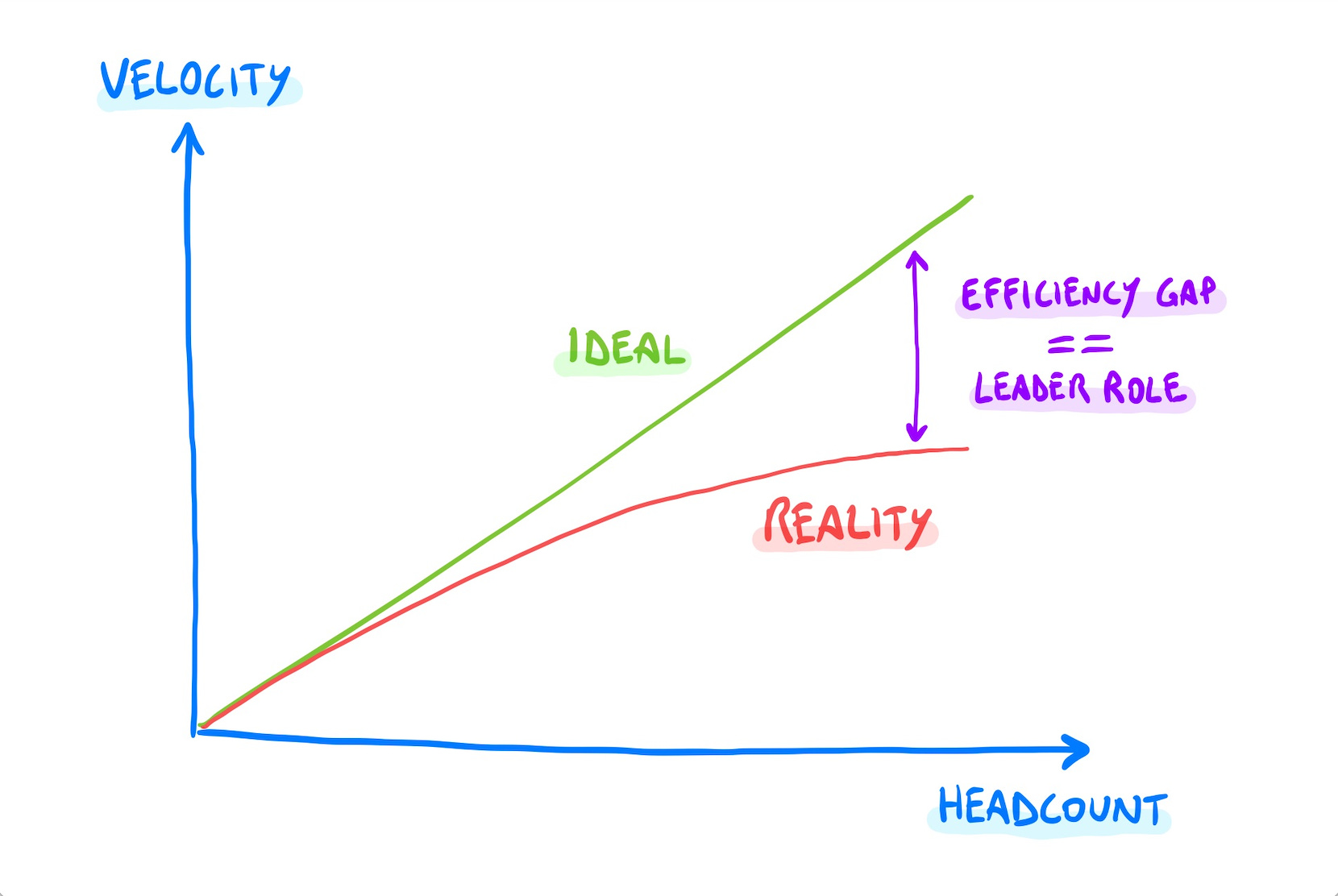 Scaling your Team from 5 to 250 Engineers 🌱