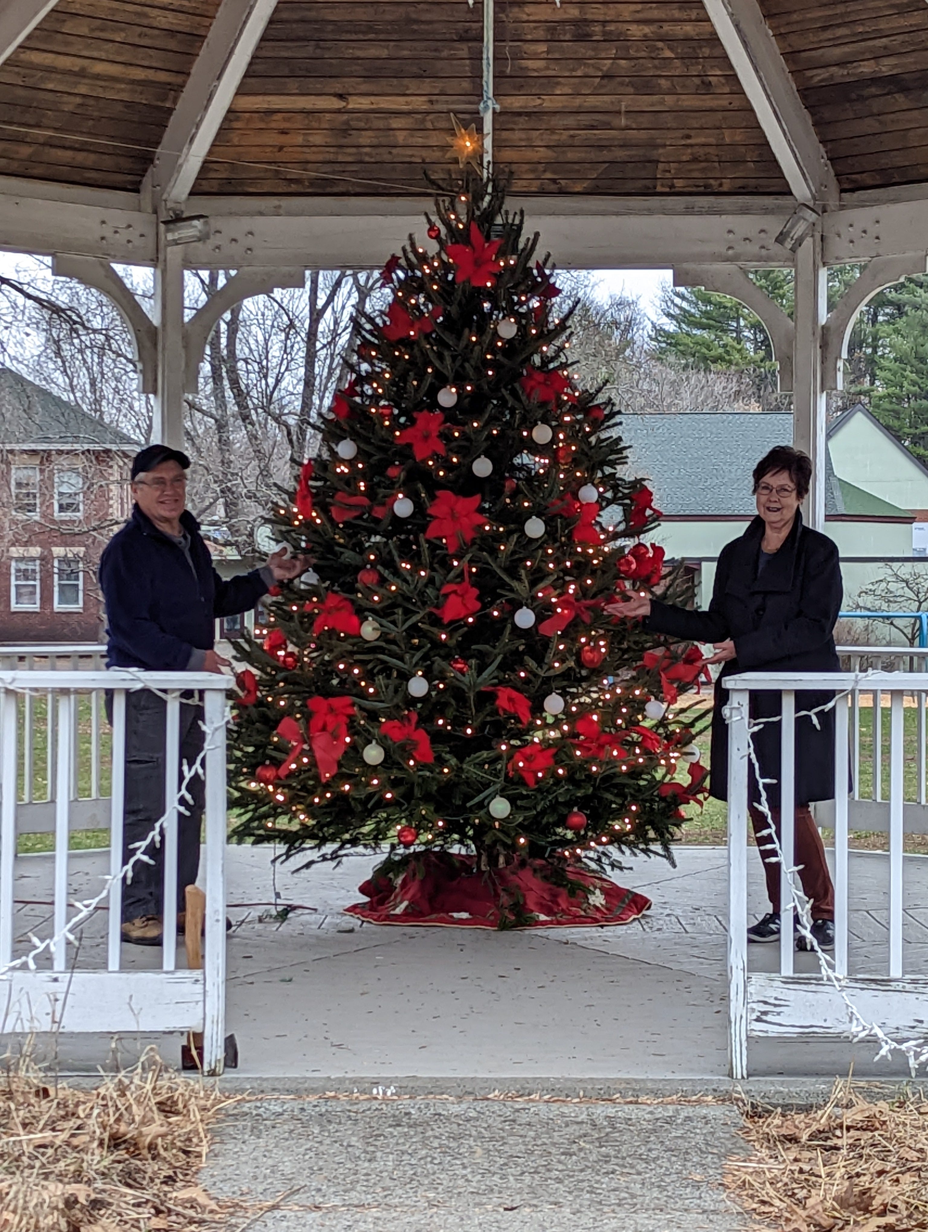 A History of the Norwich Lions Club Memory Tree and how it benefits the ...