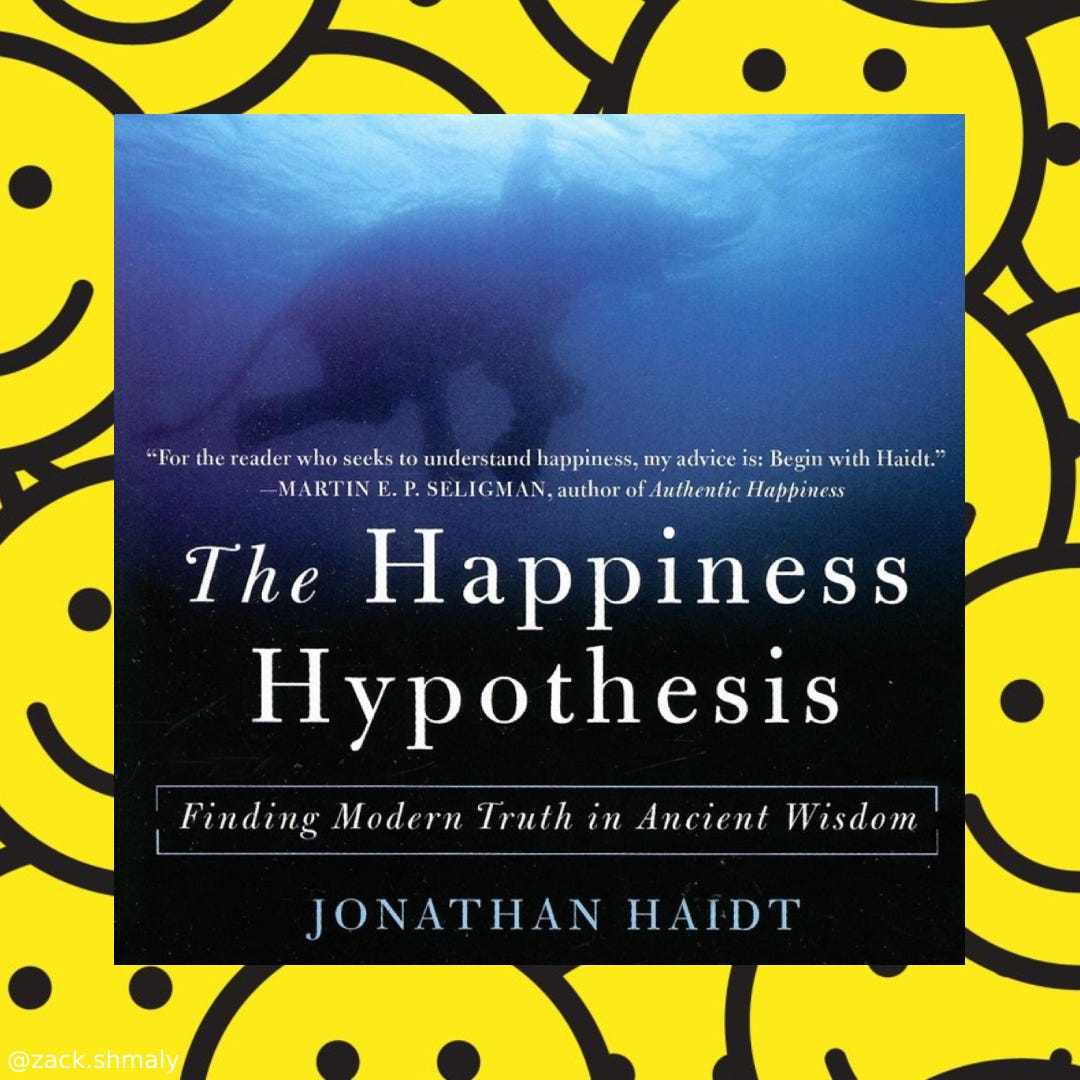 The Happiness Hypothesis - by Zakaria Al Shmaly