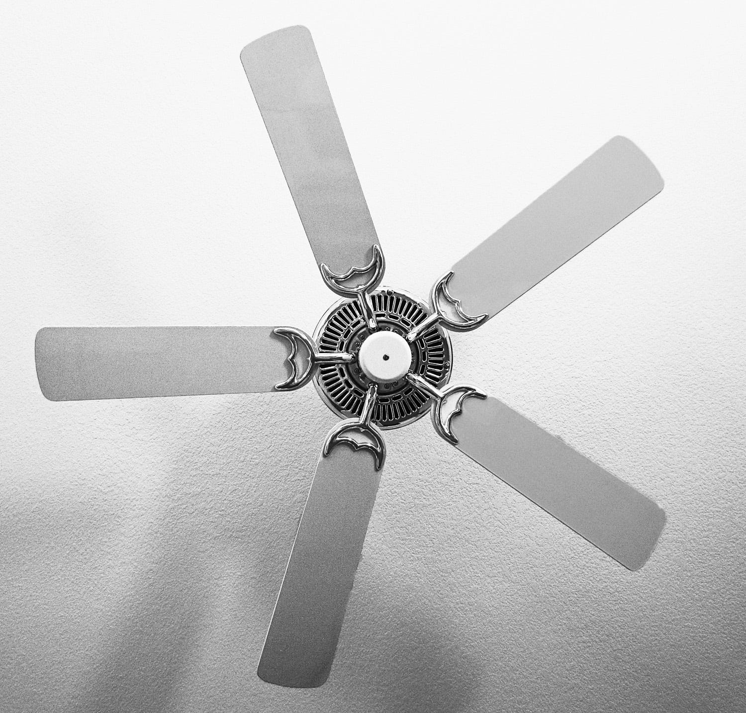 The Ceiling Fan Perspective - by Bette Ryan
