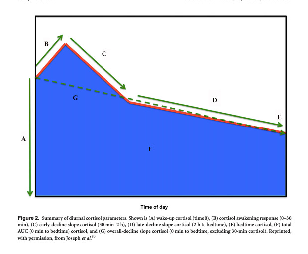 Cortisol Part II: Optimal Rhythm - by Nikko Kennedy