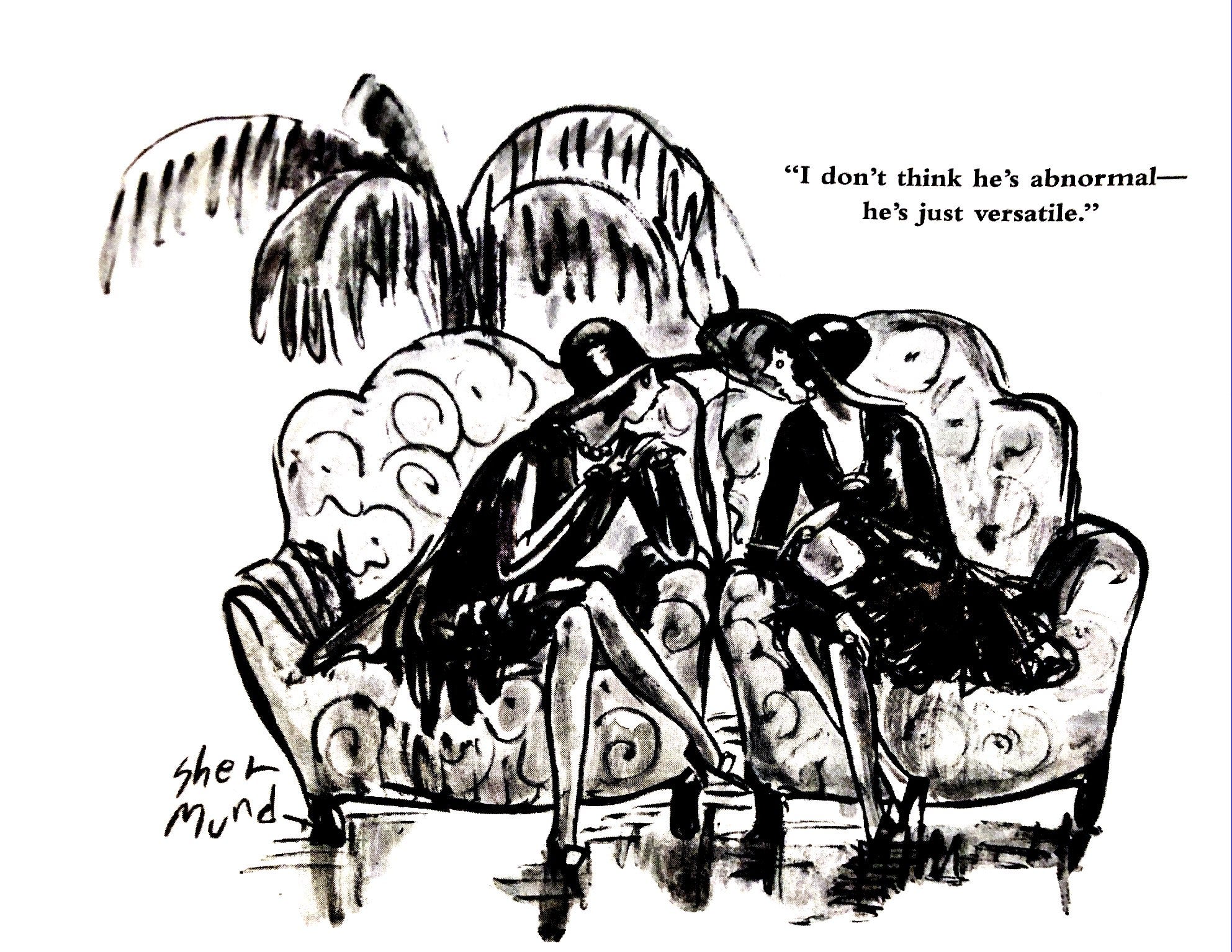 Gender Meets Cartoon - by Liza Donnelly - Seeing Things