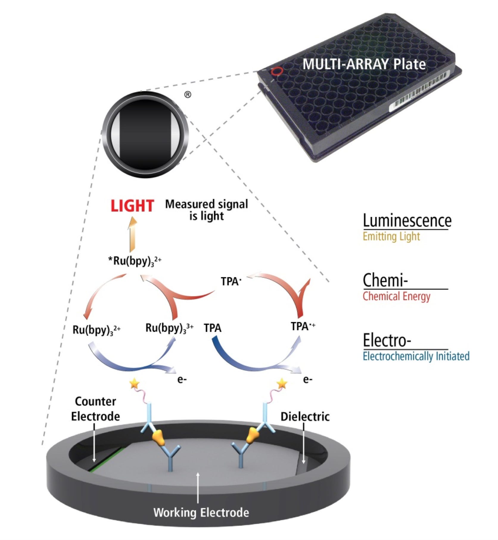 Mesoscale Diagnostics - by Nava Whiteford - ASeq Newsletter