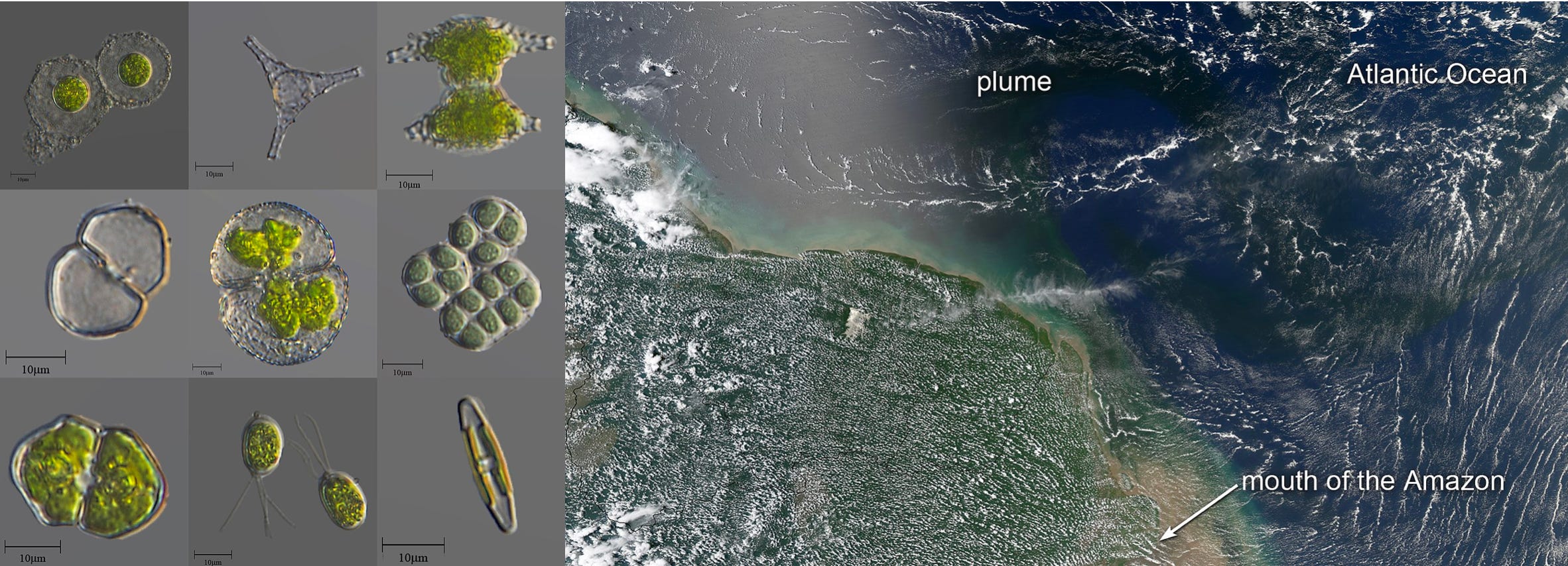 Atoms are local - by Elliot Hershberg