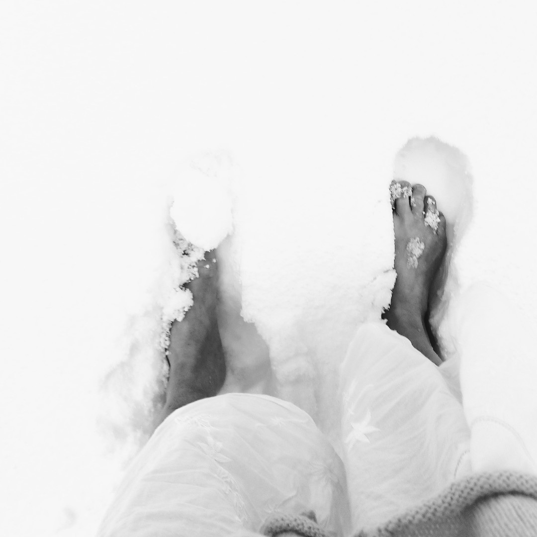 Susan Mulder | Substack