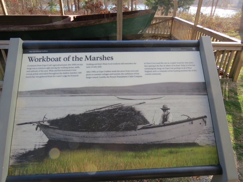 Salt Marsh Hay - by John Daly - John’s Findings