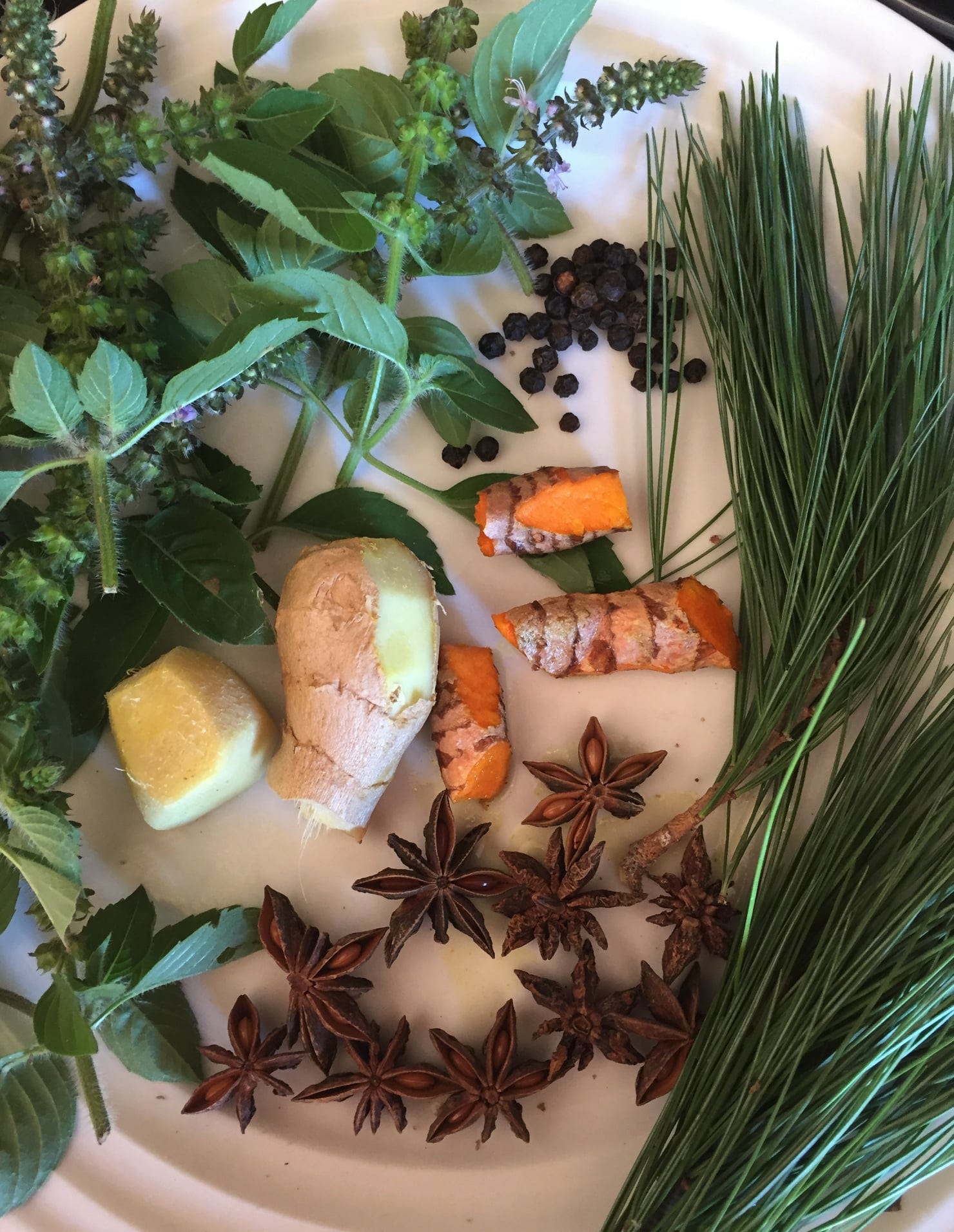 Tulsi: The Queen of Herbs - by Gavin Mounsey